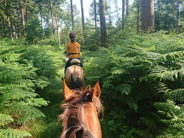 Kennis maken met… Landgoed Pijnenburg - Nationaal Park Utrechtse Heuvelrug